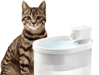 best cat fountain for cats that tip over water bowls