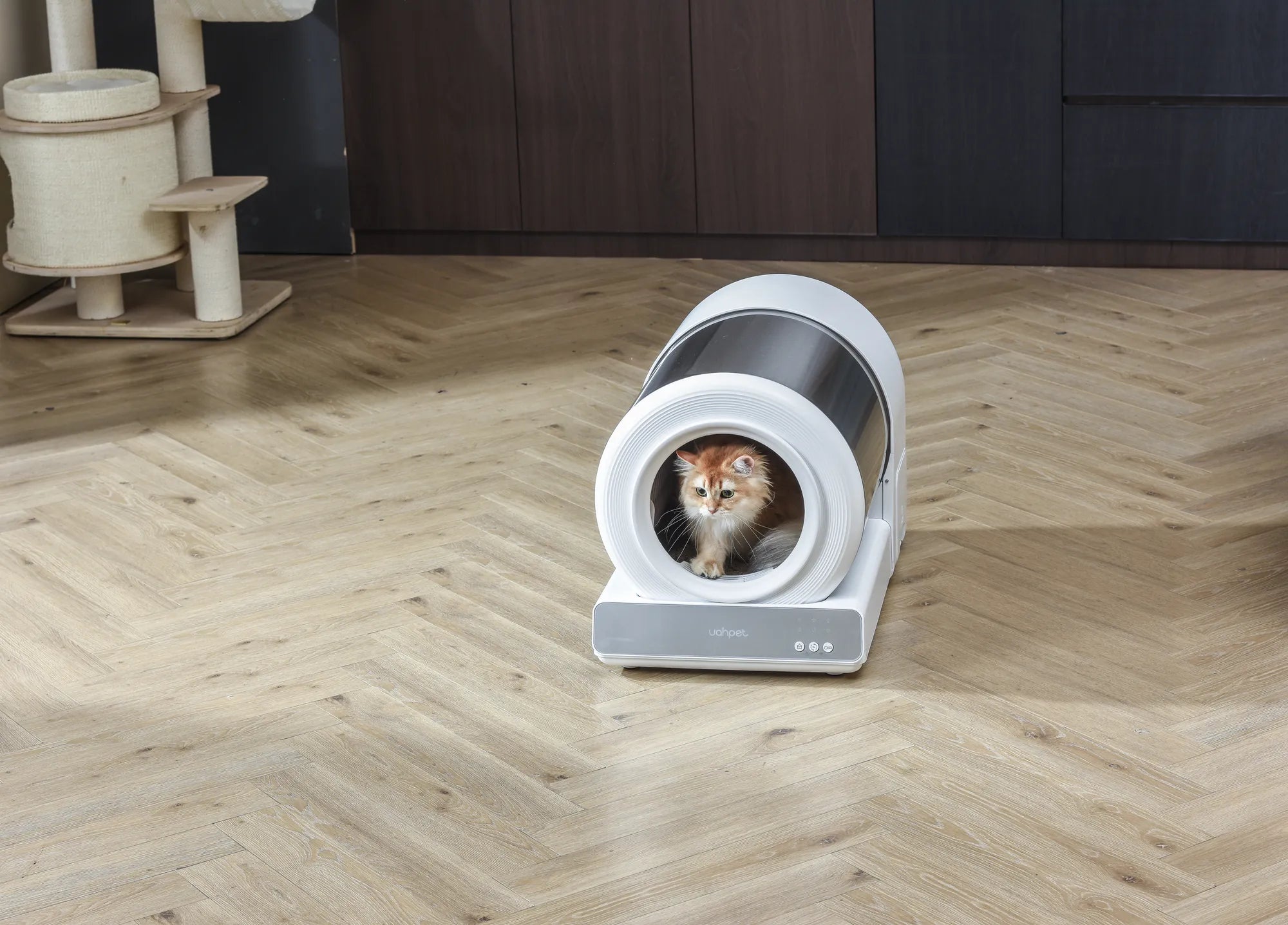 Cat Litter Box Storage Ideas to Keep Your Home Clean and Stylish