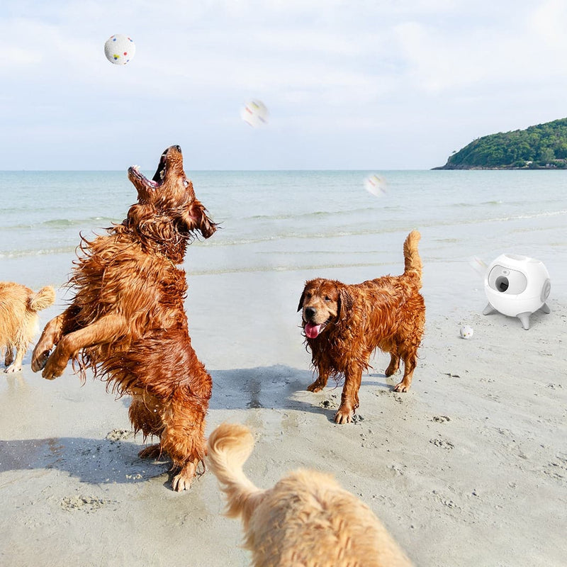 Automatic Dog Ball Launcher | UahPet - uahpet-official